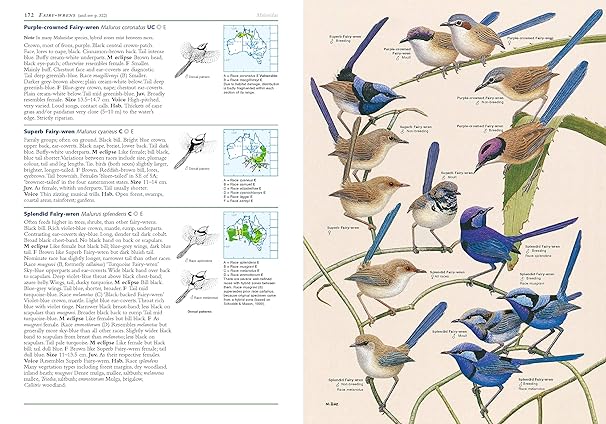 Australia’s Top 3 Ornithological Field Guides Reviewed – Bird ...